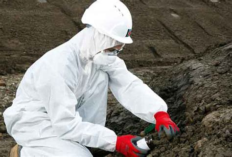 What Are Some Soil Remediation Techniques? – DightonRock